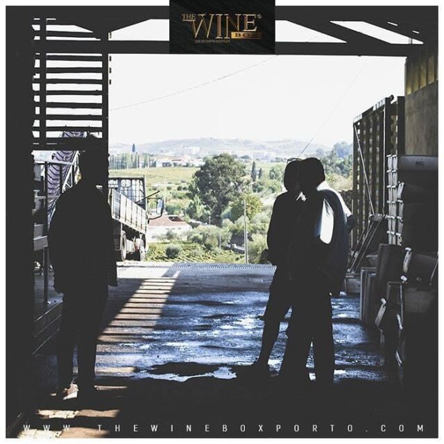 Homepage | The Wine Box Porto